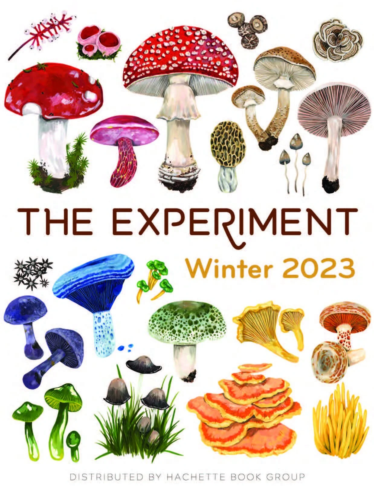 Catalogues — Manda Group