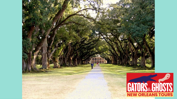 The Complex History of Oak Alley Plantation — Gators and Ghosts: New ...