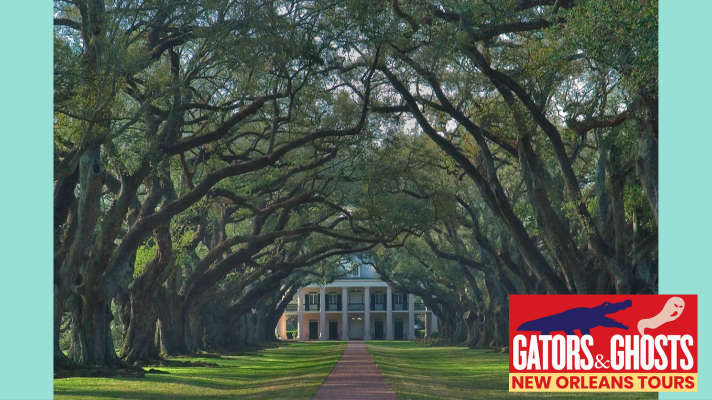 The Complex History of Oak Alley Plantation — Gators and Ghosts: New ...