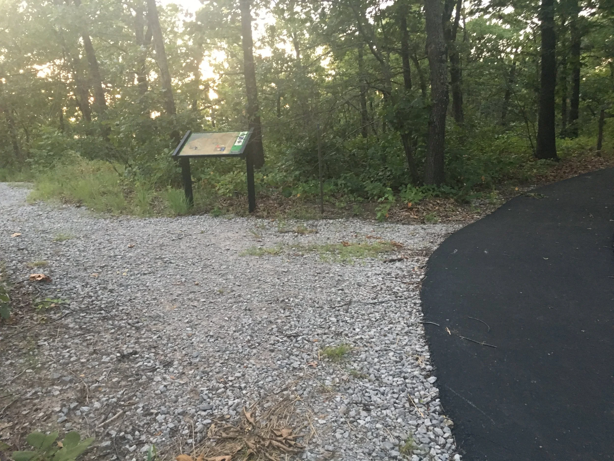 Keystone Ancient Forest — Sandite Pride News