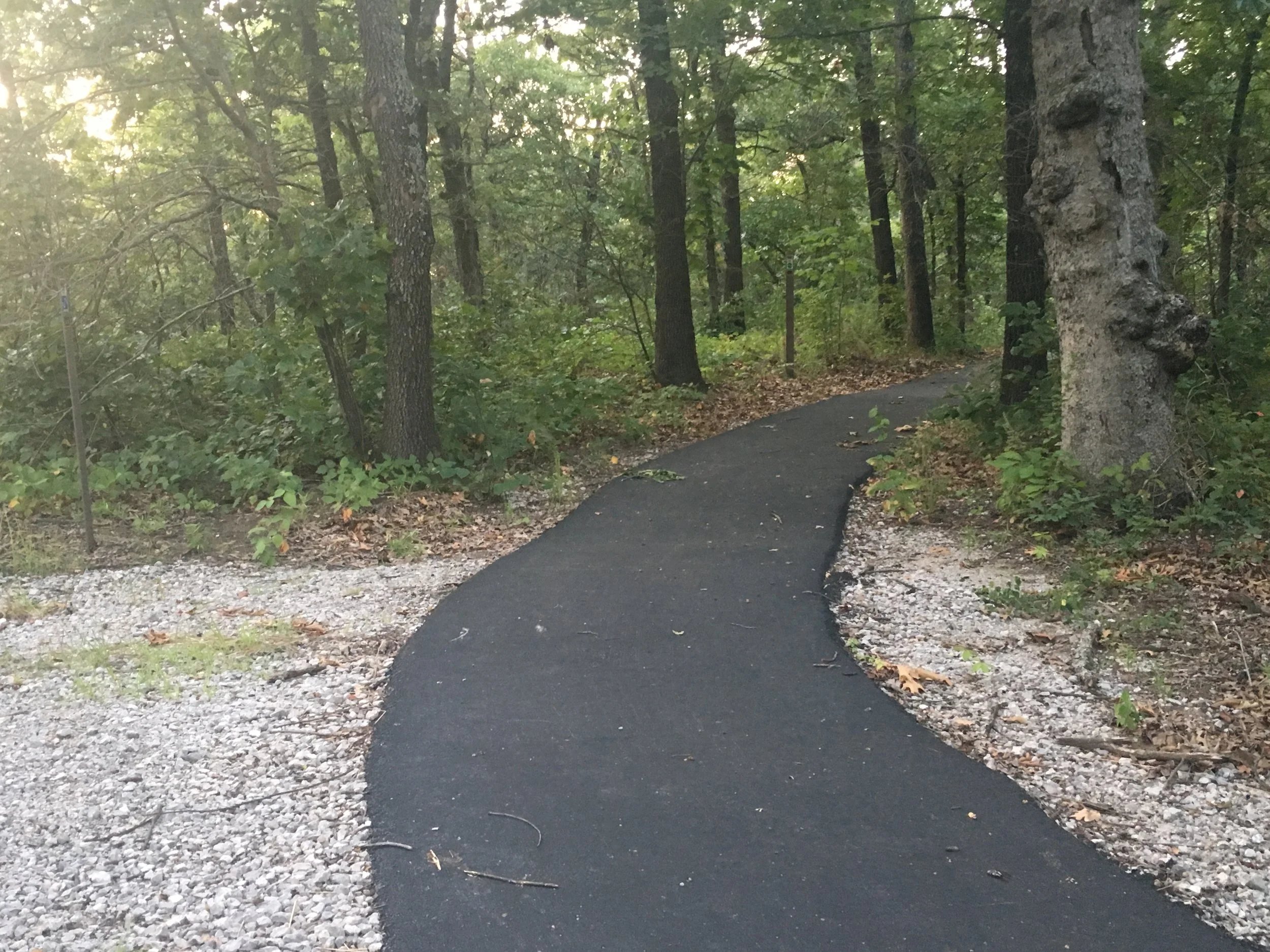 Keystone Ancient Forest — Sandite Pride News