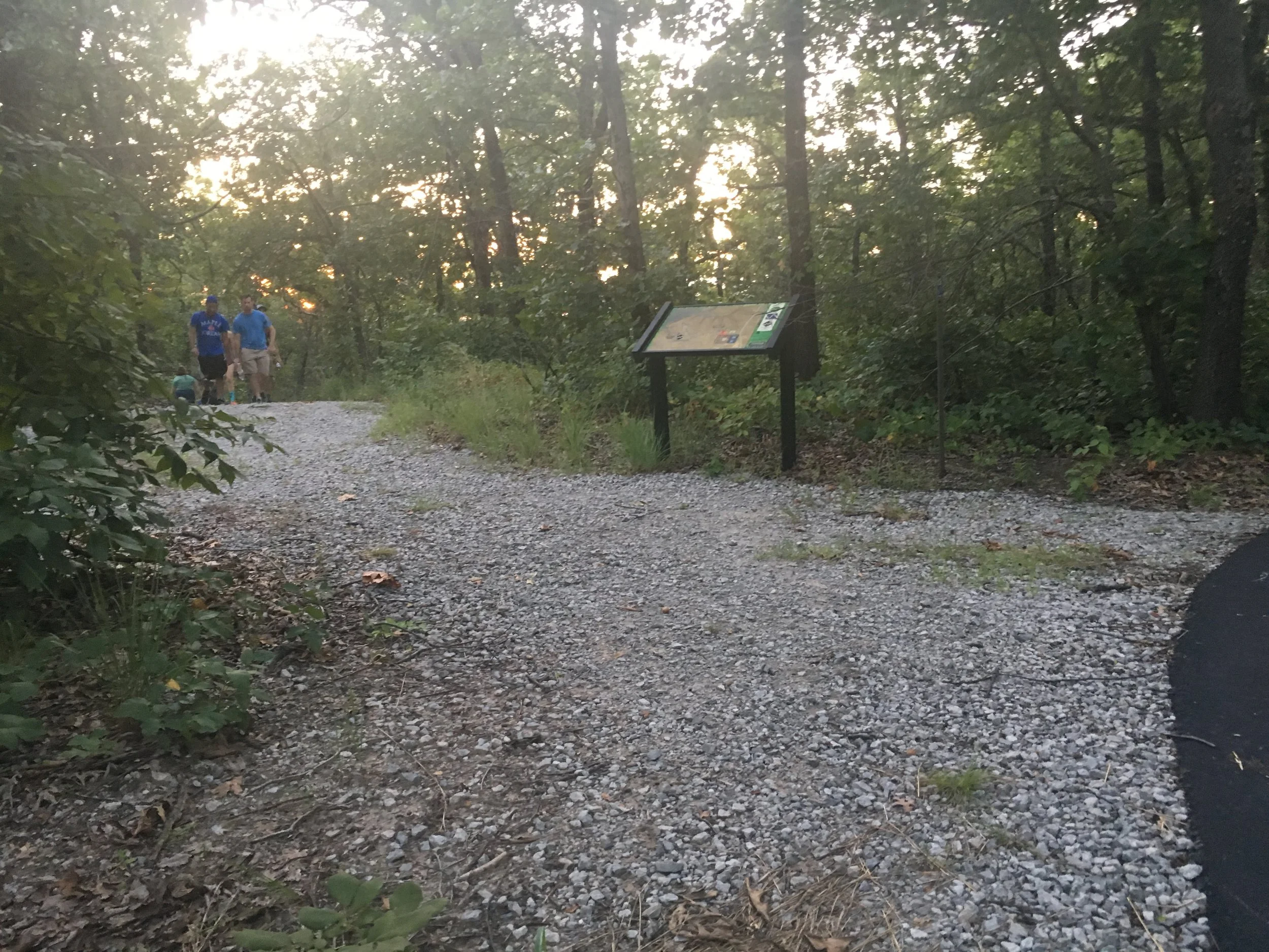 Keystone Ancient Forest — Sandite Pride News