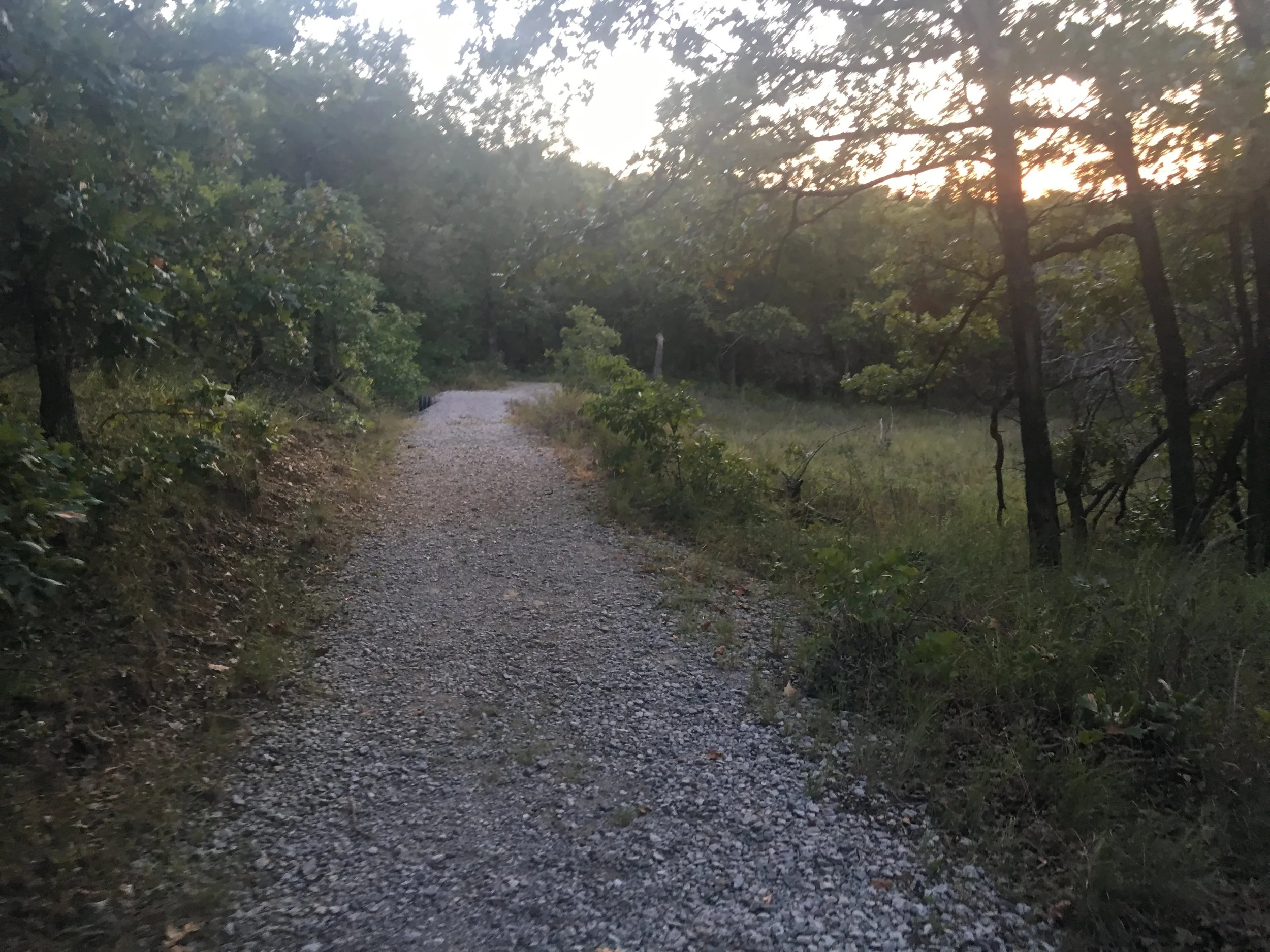 Keystone Ancient Forest — Sandite Pride News