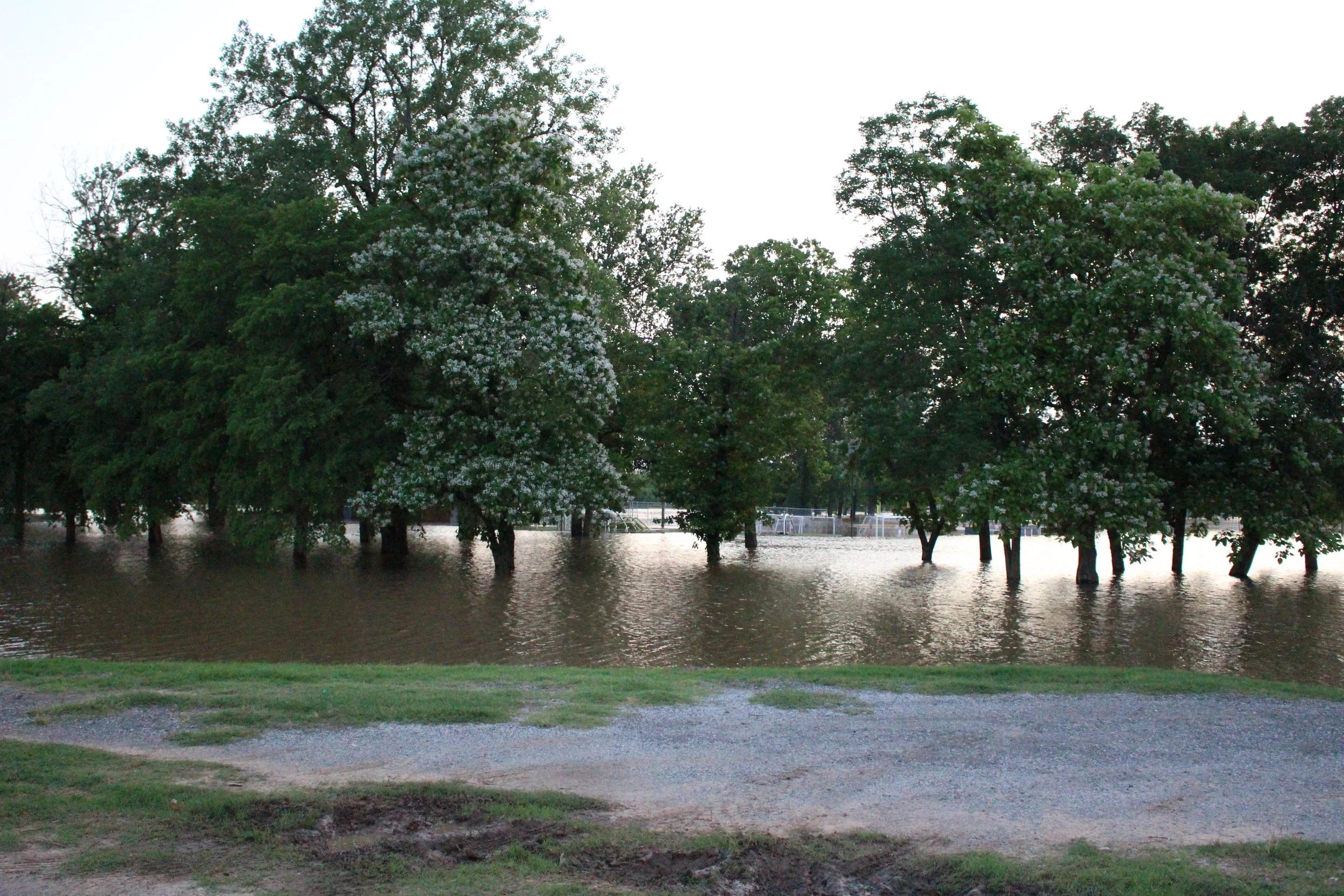 Sand Springs Flood of 2019 — Sandite Pride News