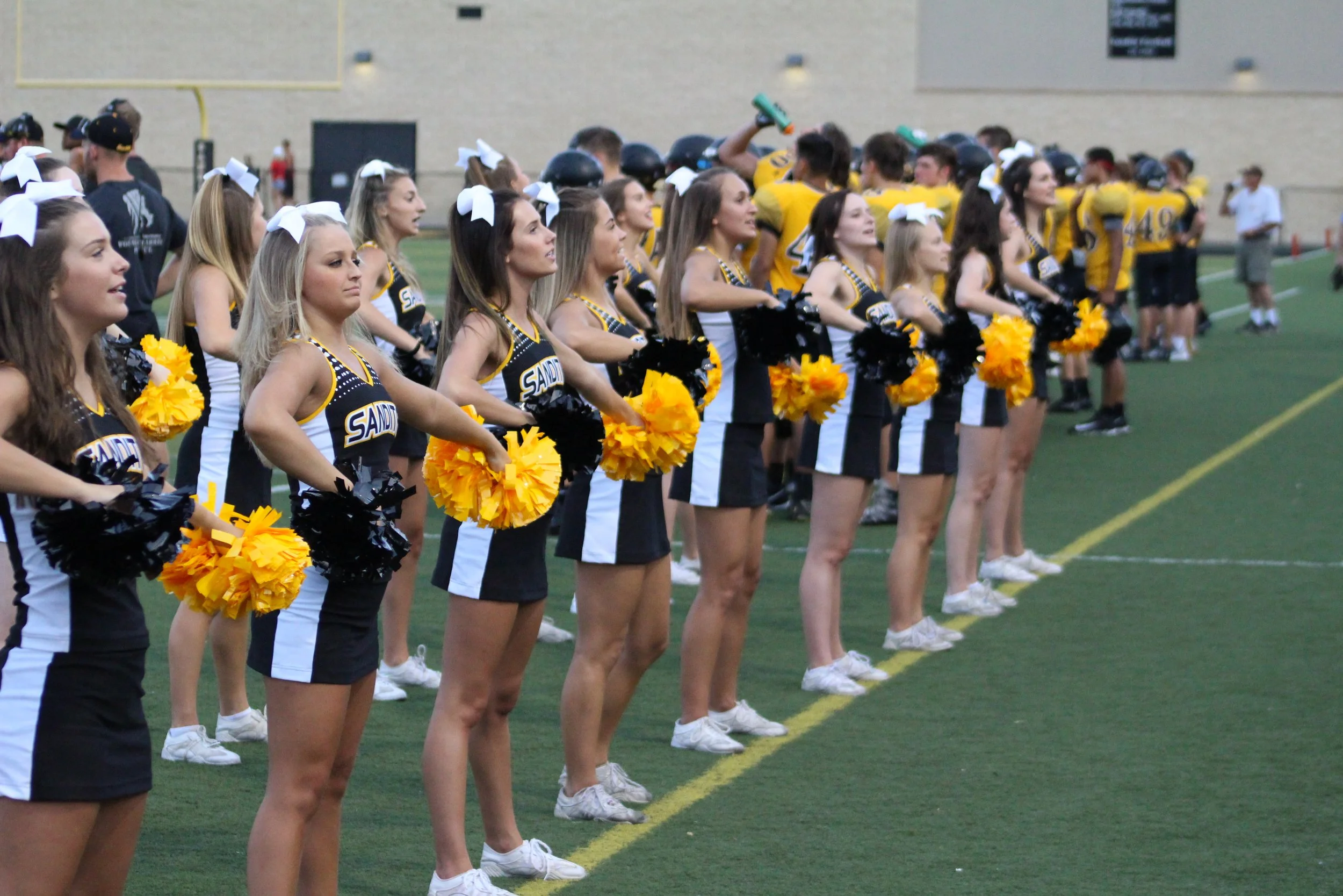 Sand Springs Sports — Sandite Pride News
