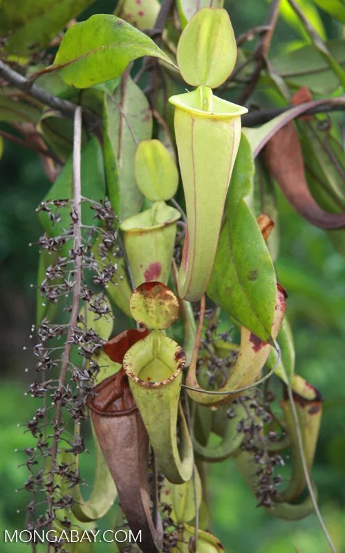 Your Local Florist in Winchester & Beacon Hill Boston Stay Connected ...