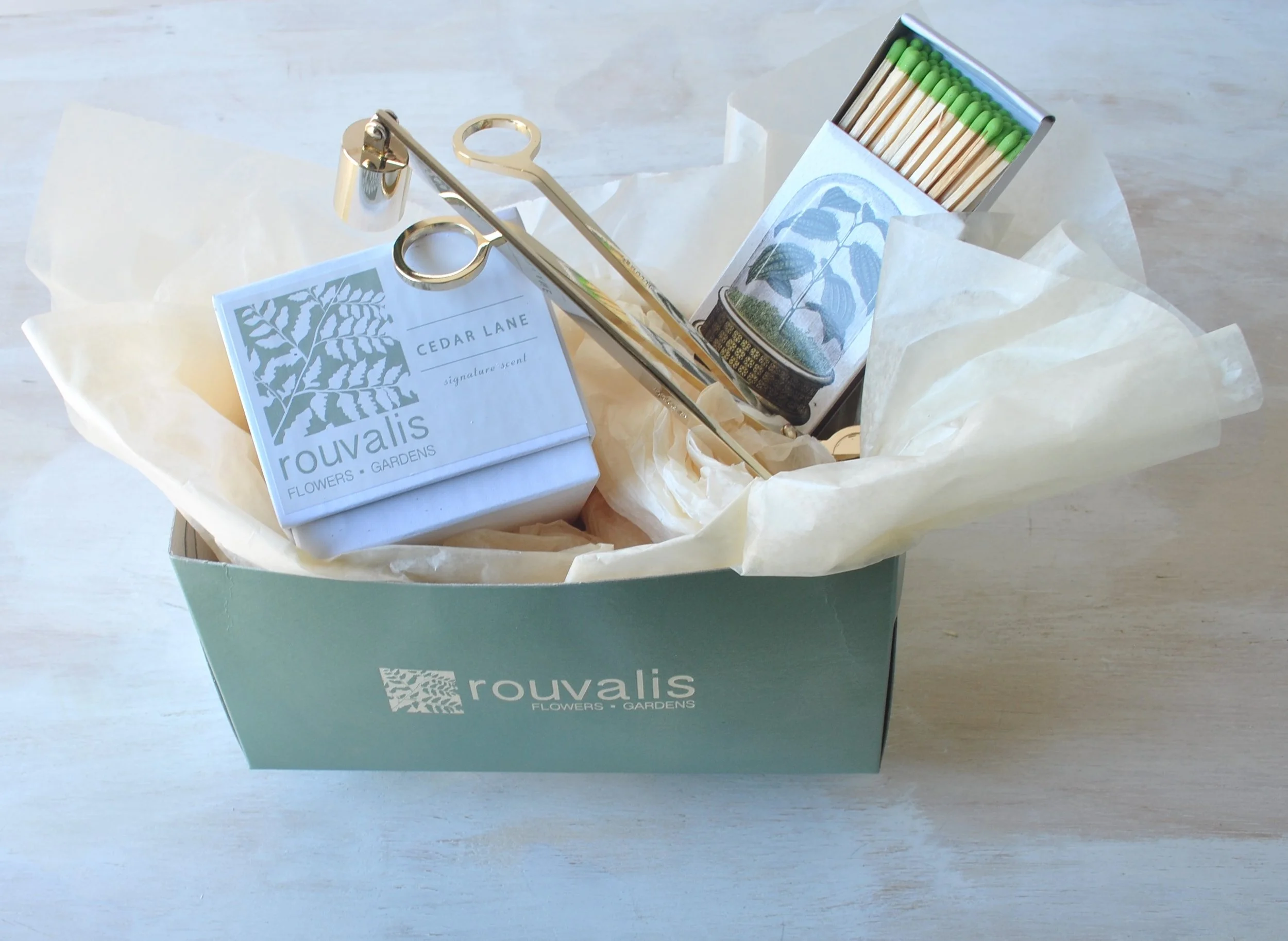 Plant Delivery In The Greater Boston Area. Houseplants & Orchids Hand ...