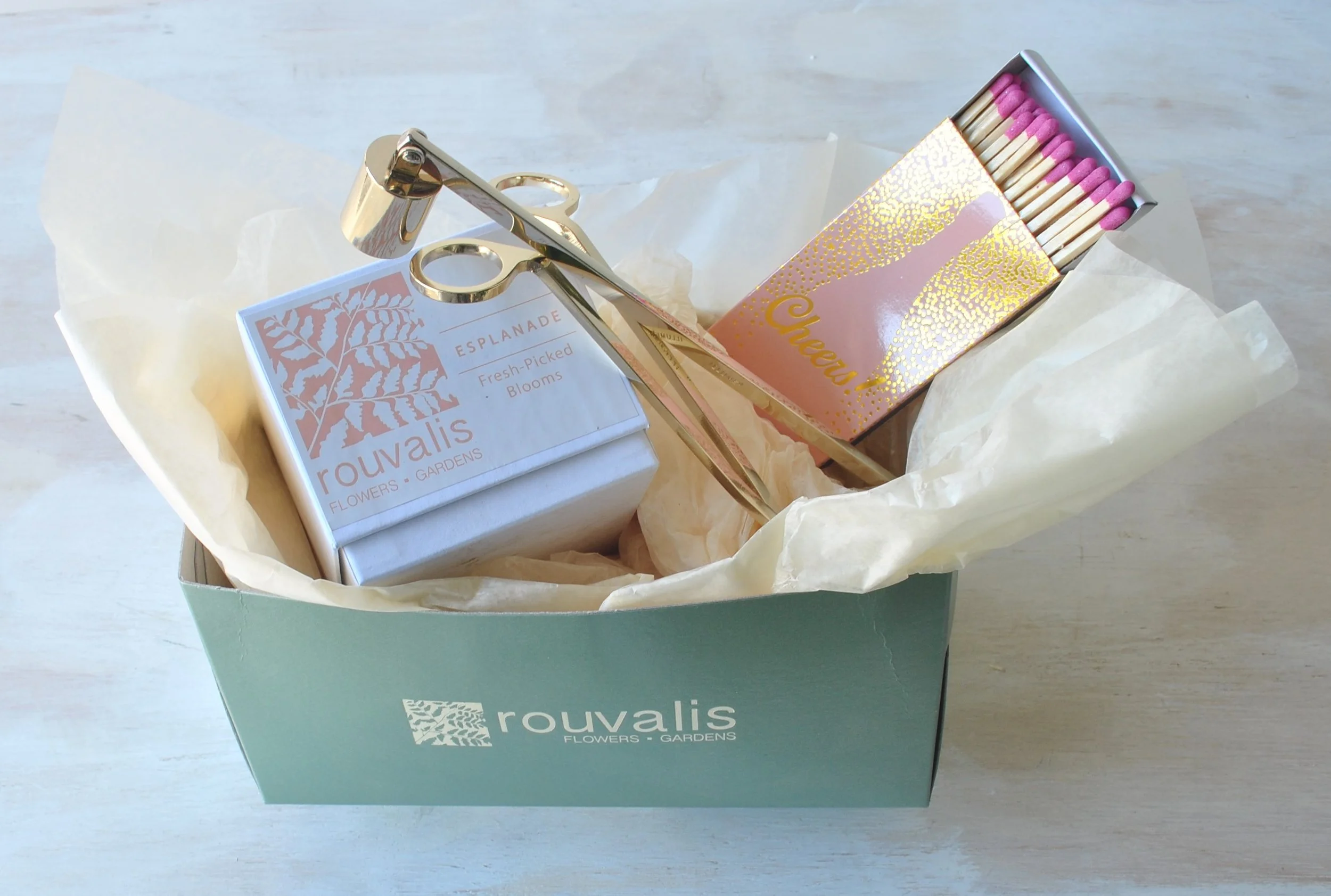 Plant Delivery In The Greater Boston Area. Houseplants & Orchids Hand ...