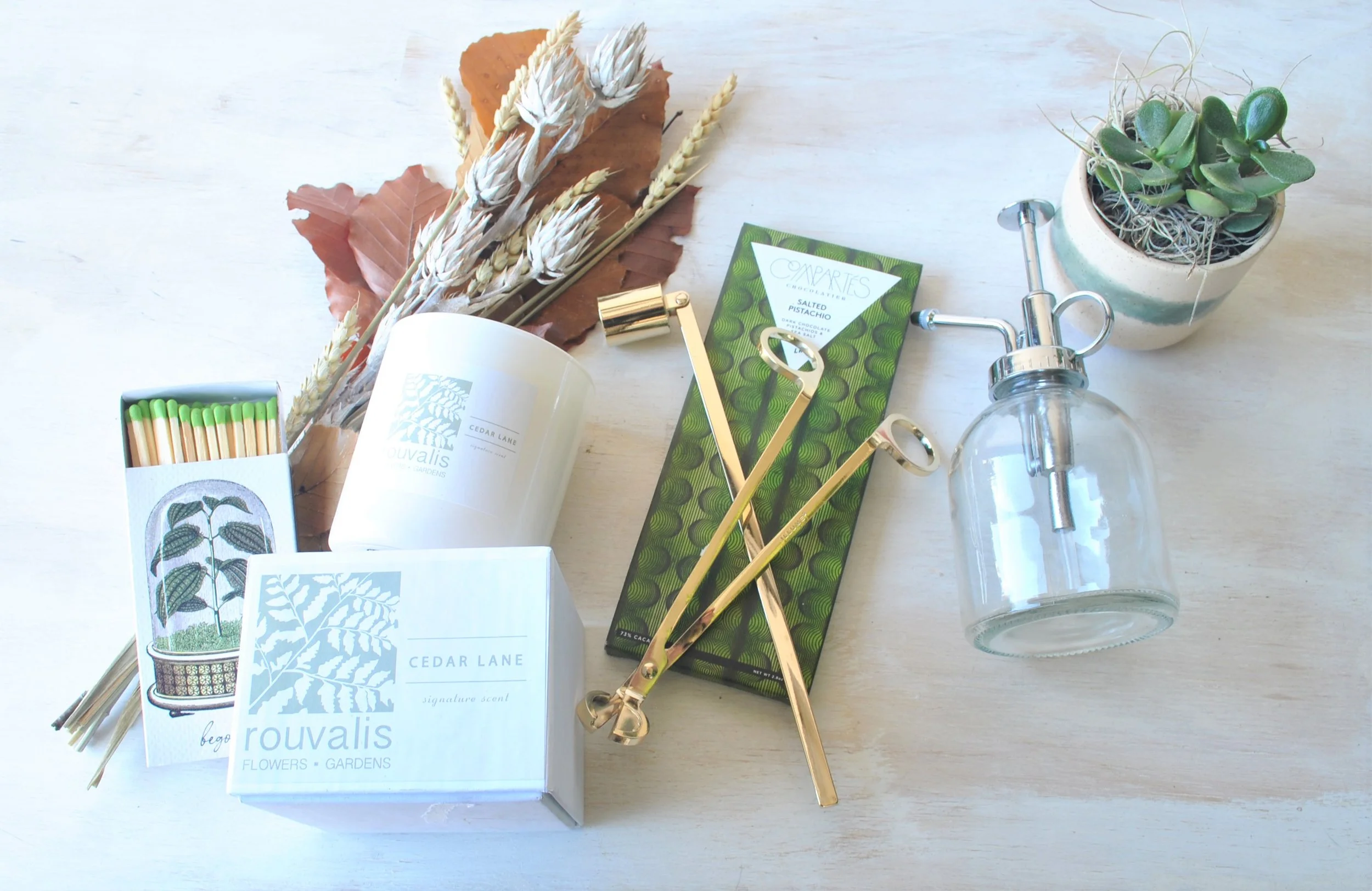 Plant Delivery In The Greater Boston Area. Houseplants & Orchids Hand ...