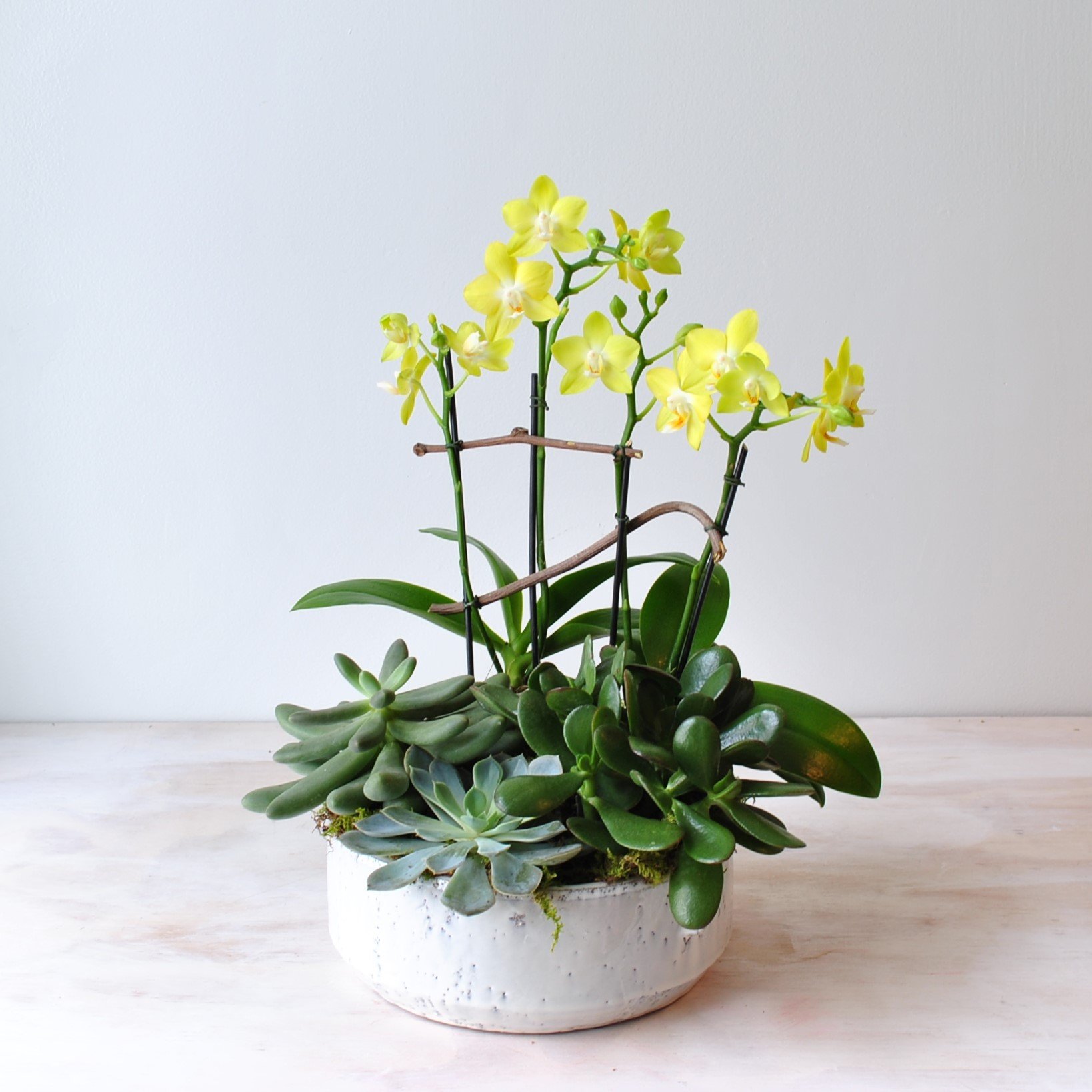 Rouvalis Flowers & Gardens | Your Local Florist in Winchester & Beacon ...