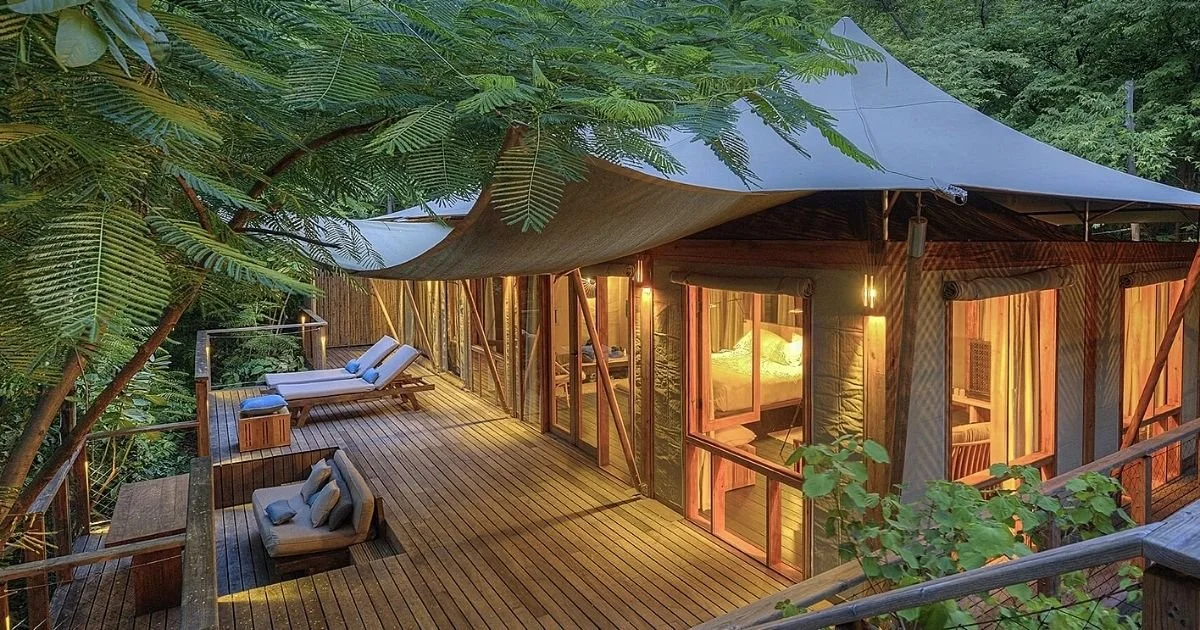 Your Local Florist in Winchester & Beacon Hill Boston Stay Connected ...