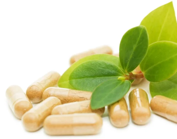 Meridian Pro | GRANULES & CAPSULES — KAMWO