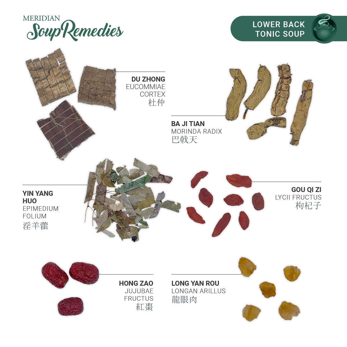 Meridian Soup Remedies: Natural TCM Boost for Your Well-being — KAMWO