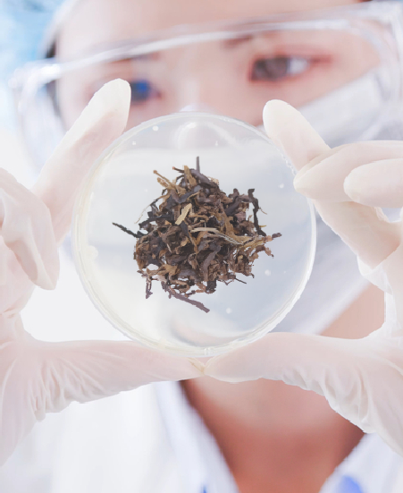 Custom Raw Herb Formula Service — KAMWO