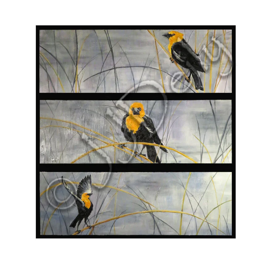 Bird Paintings — Jennifer Jo Deily Fine Art Studio