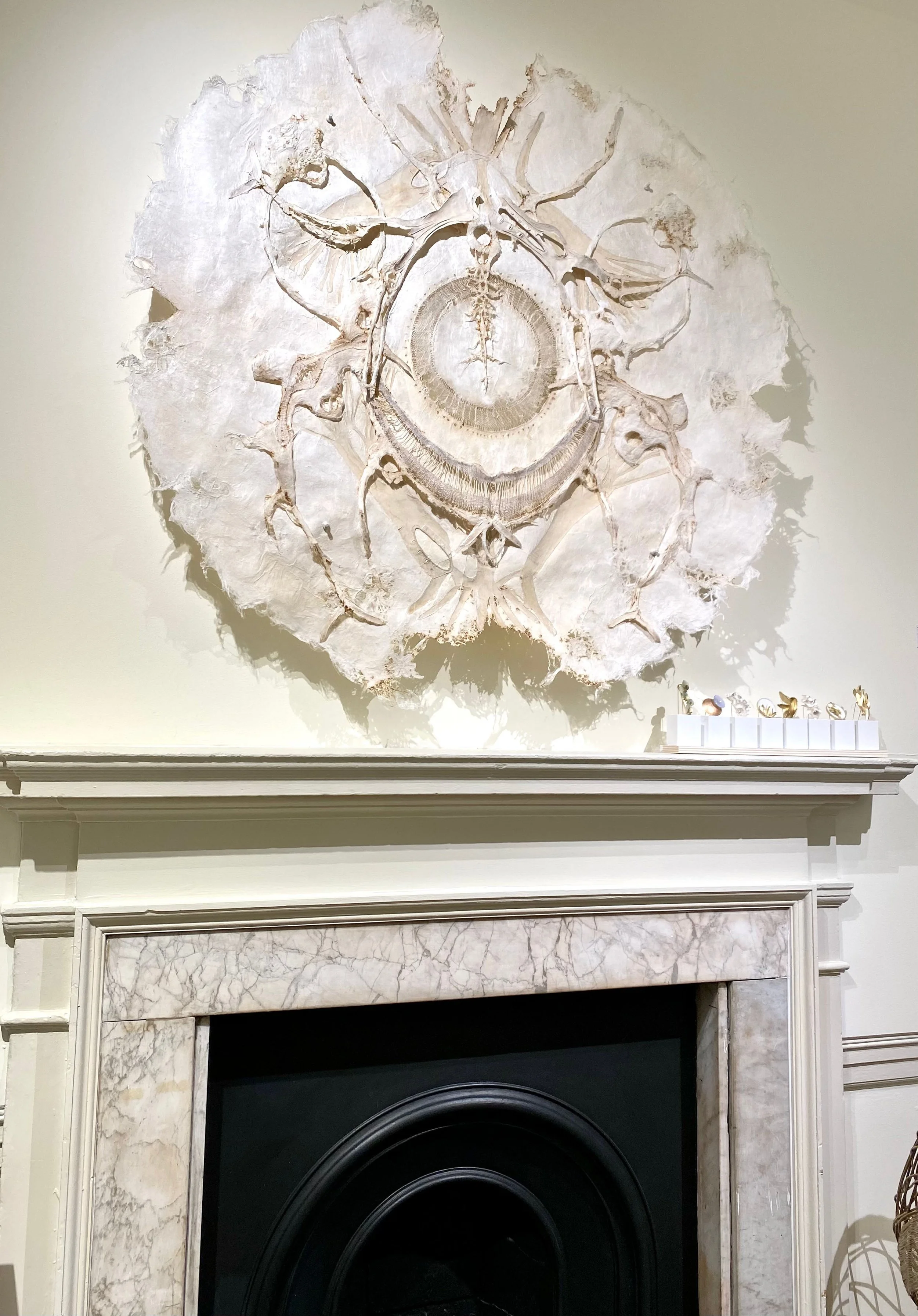 Jenn Singer Gallery — Mandy Coppes-Martin