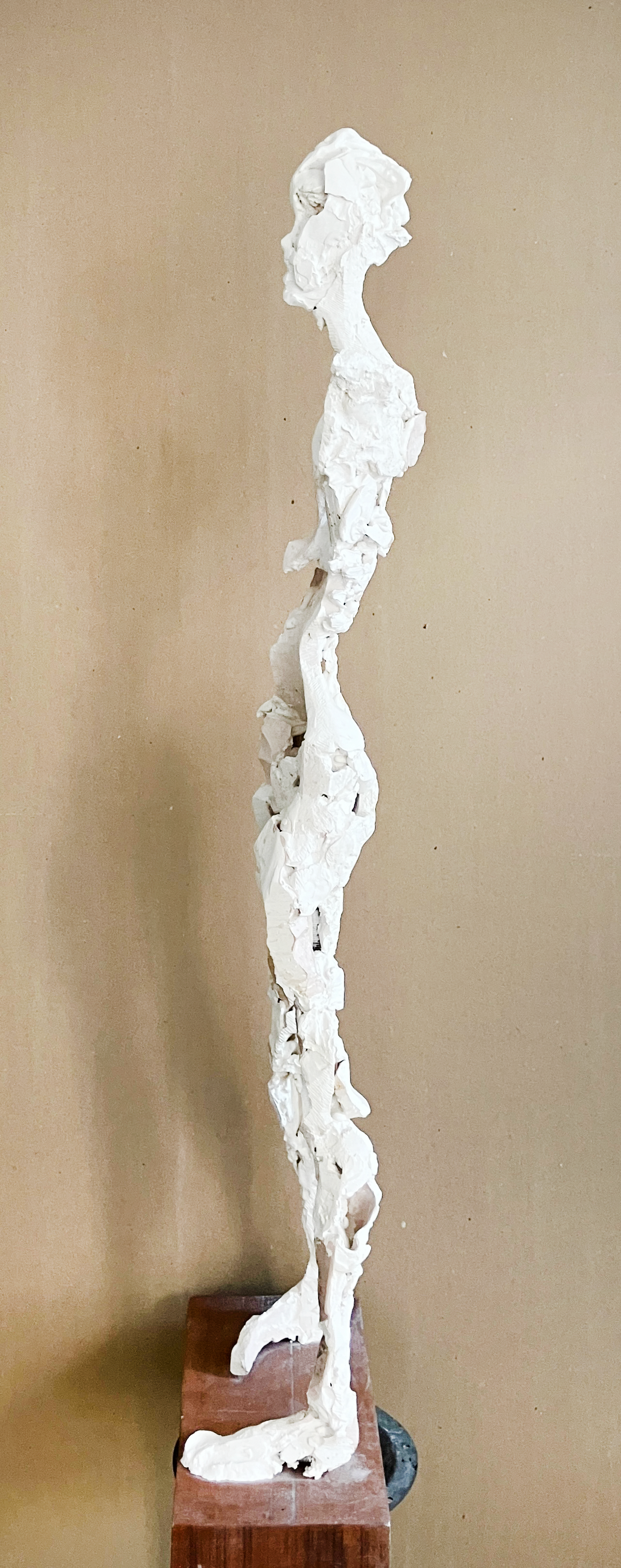 Jenn Singer — Elizabeth Allison