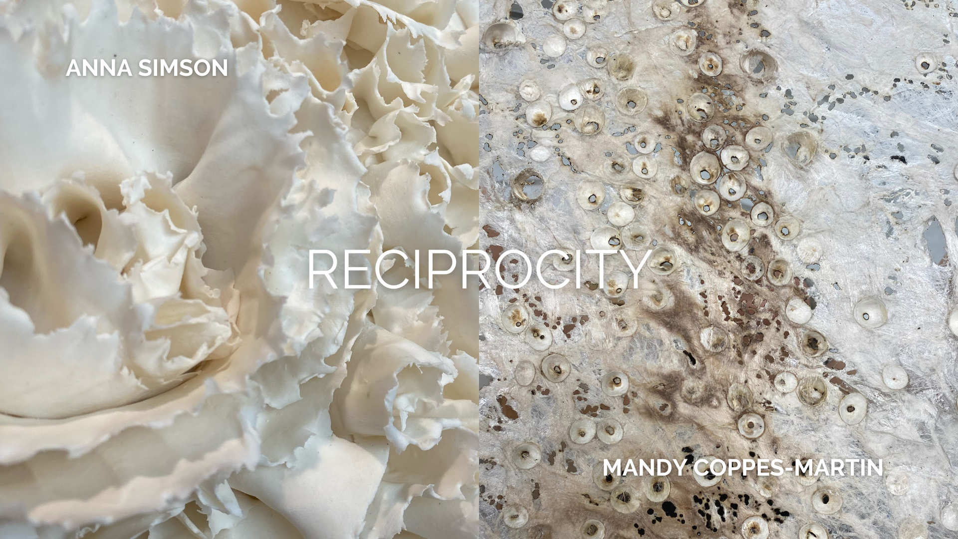 Jenn Singer — Reciprocity