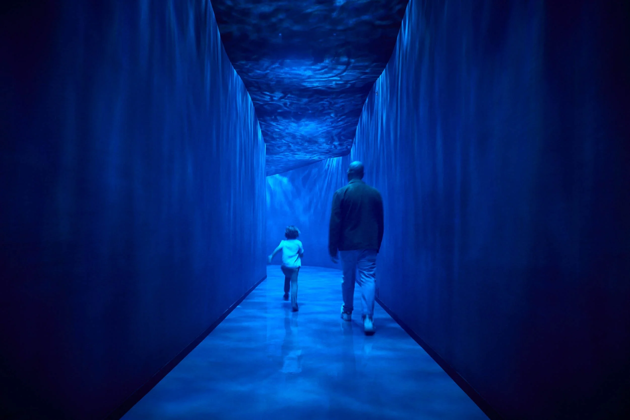 The Blue Paradox at MSI — Tereasa Surratt