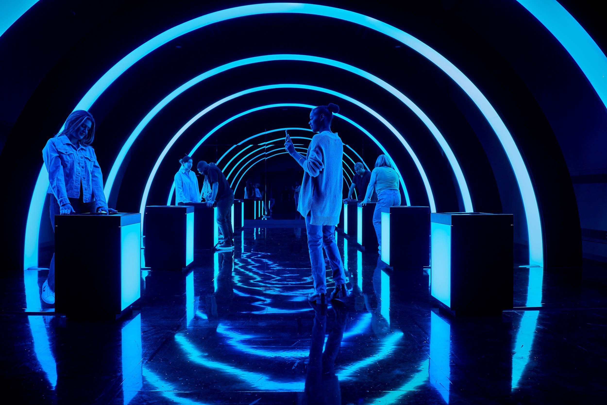 The Blue Paradox at MSI — Tereasa Surratt