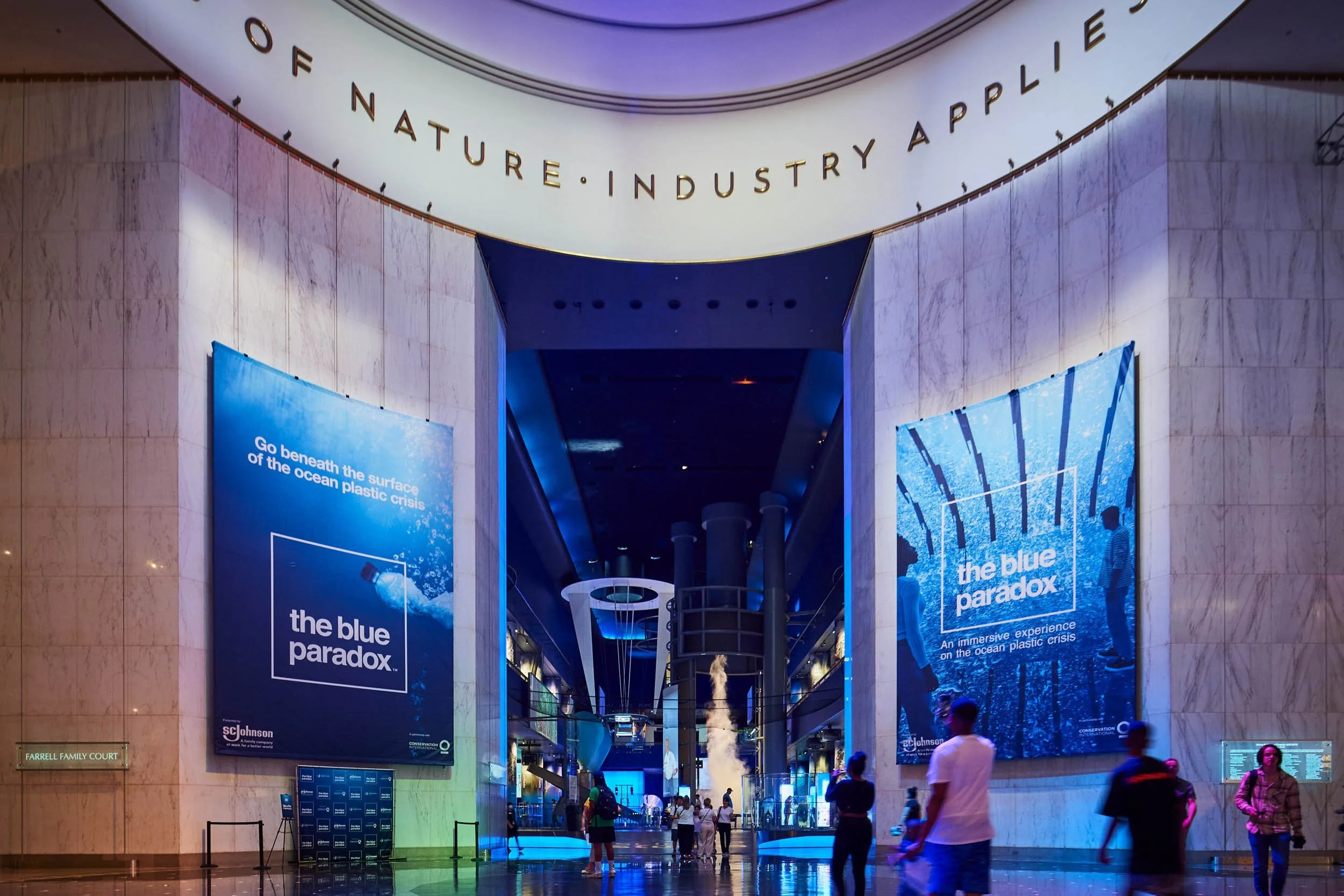 The Blue Paradox at MSI — Tereasa Surratt