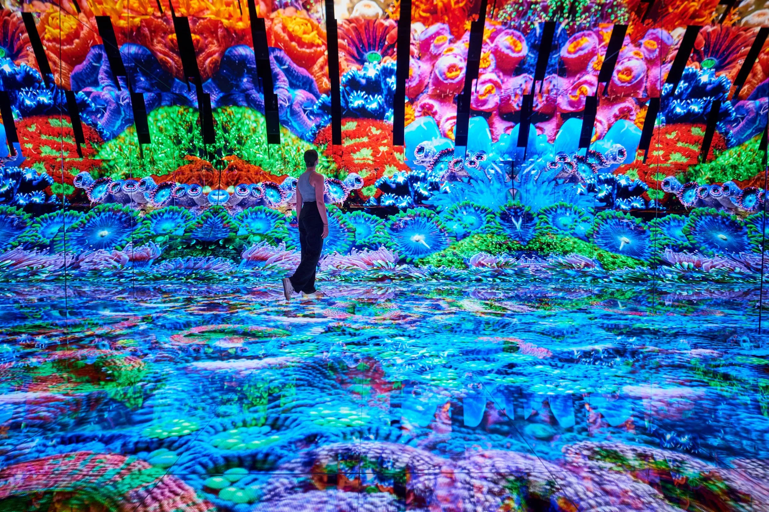 The Blue Paradox at MSI — Tereasa Surratt