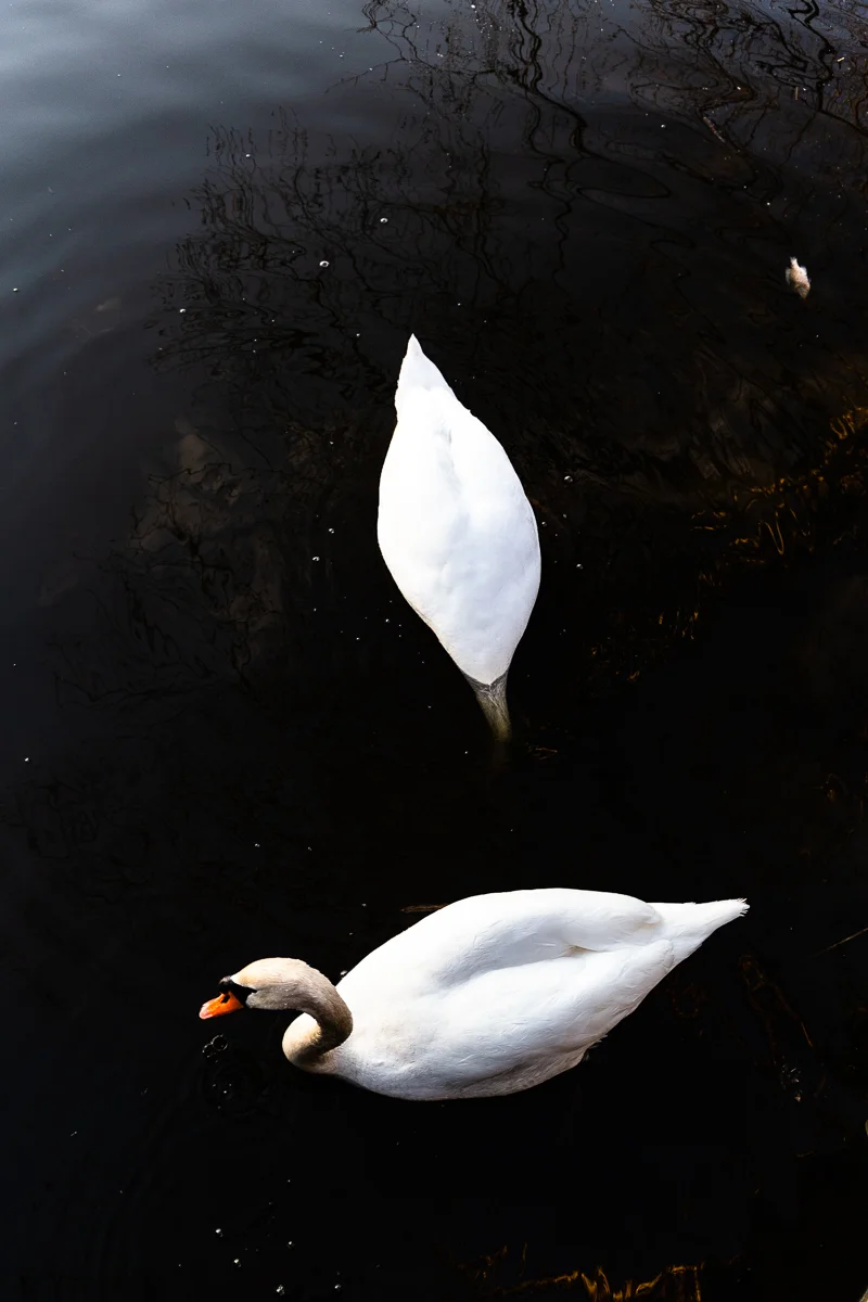 MICHAEL ZENKE michael zenke photography