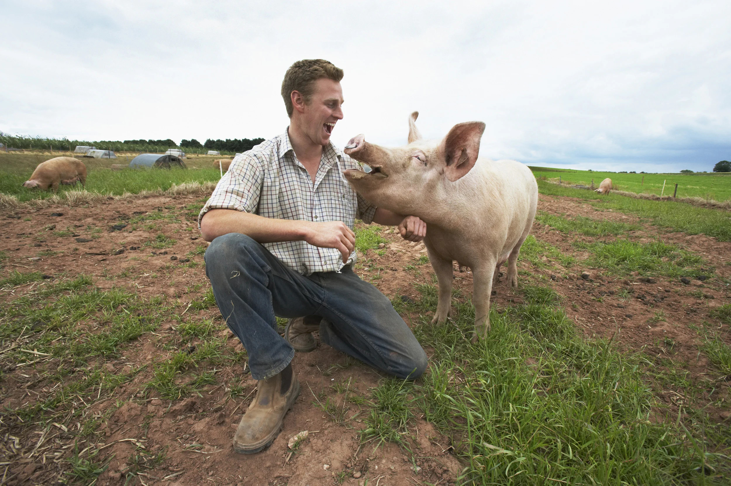 OUR MEAT — Ruby & White