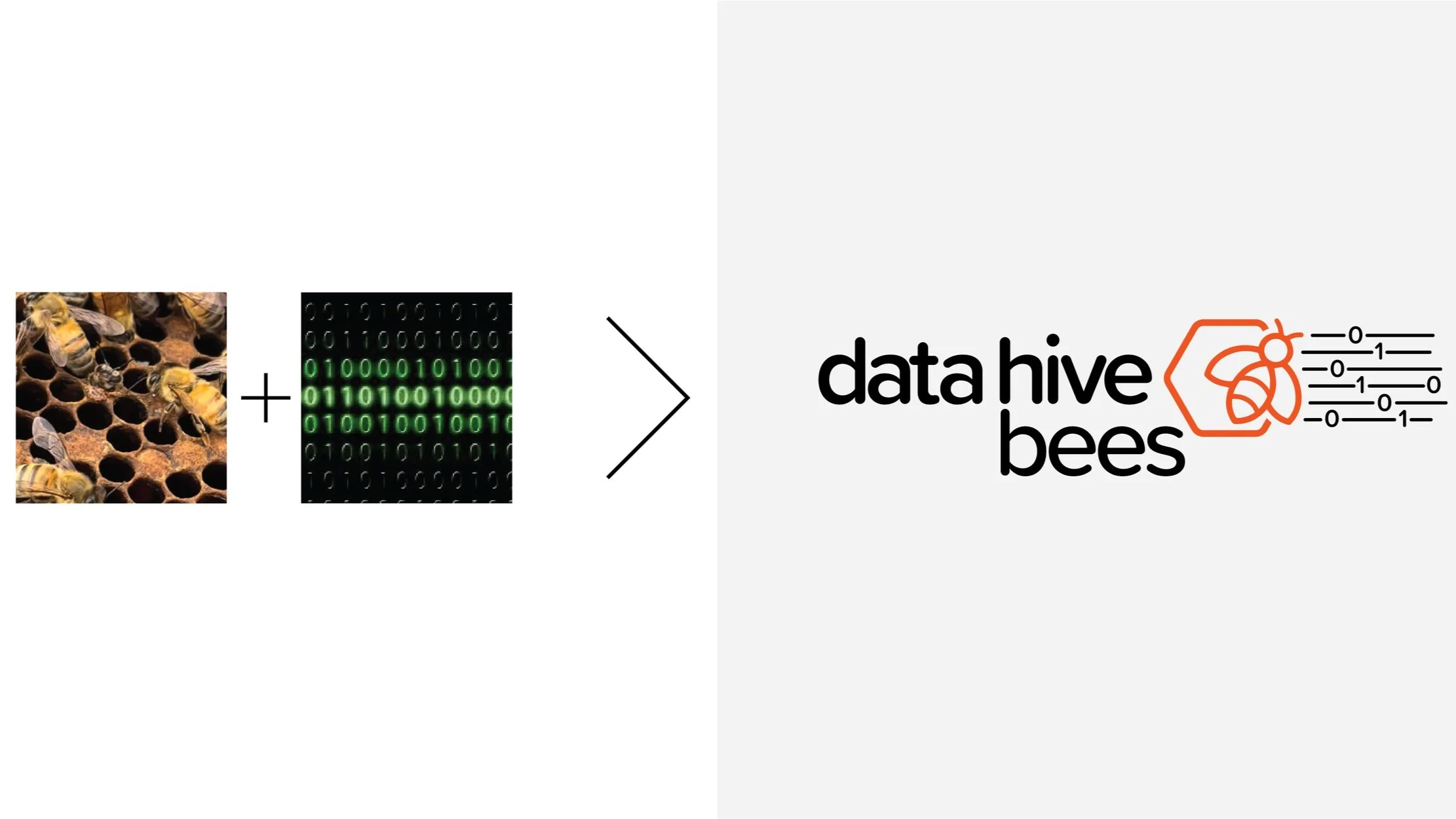 Haynes Design - Logos - Branding - Graphic Design -Digital - Print - Photography