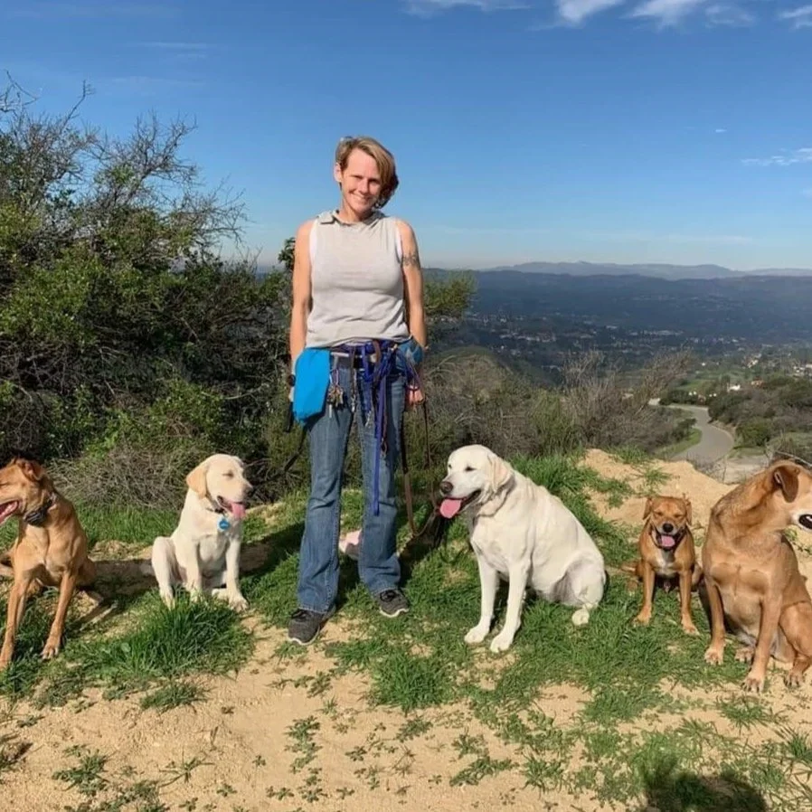 Our Philosophy, Training Methods, Programs, Trainers and Training ...