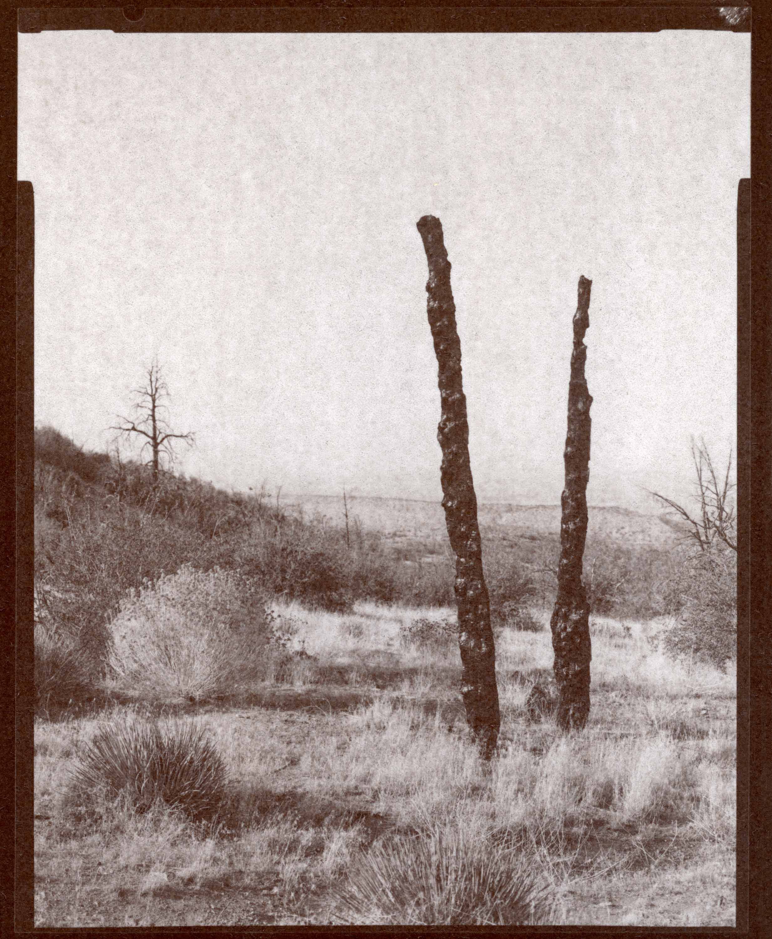 Salted Paper Prints — JIM OSBORNE PHOTOGRAPHY