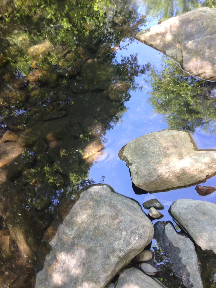 Step by Step- Both Above and Below — Stephen Berry Art