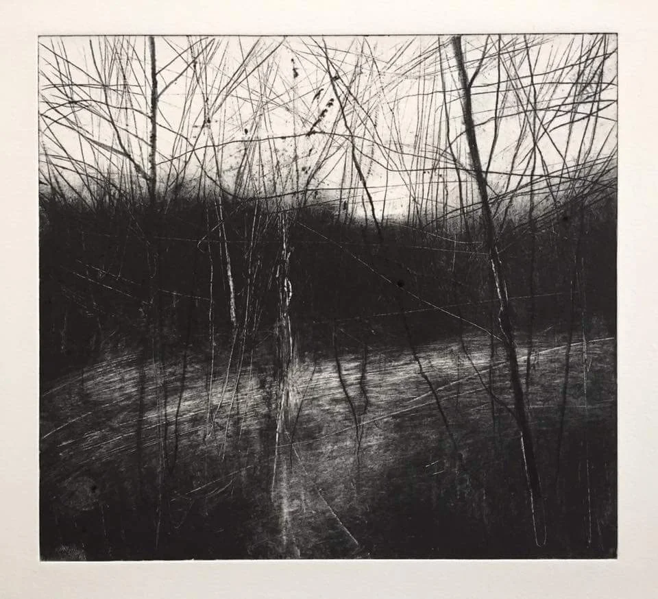 Spotlight on an Artist- David Parfitt — Stephen Berry Art