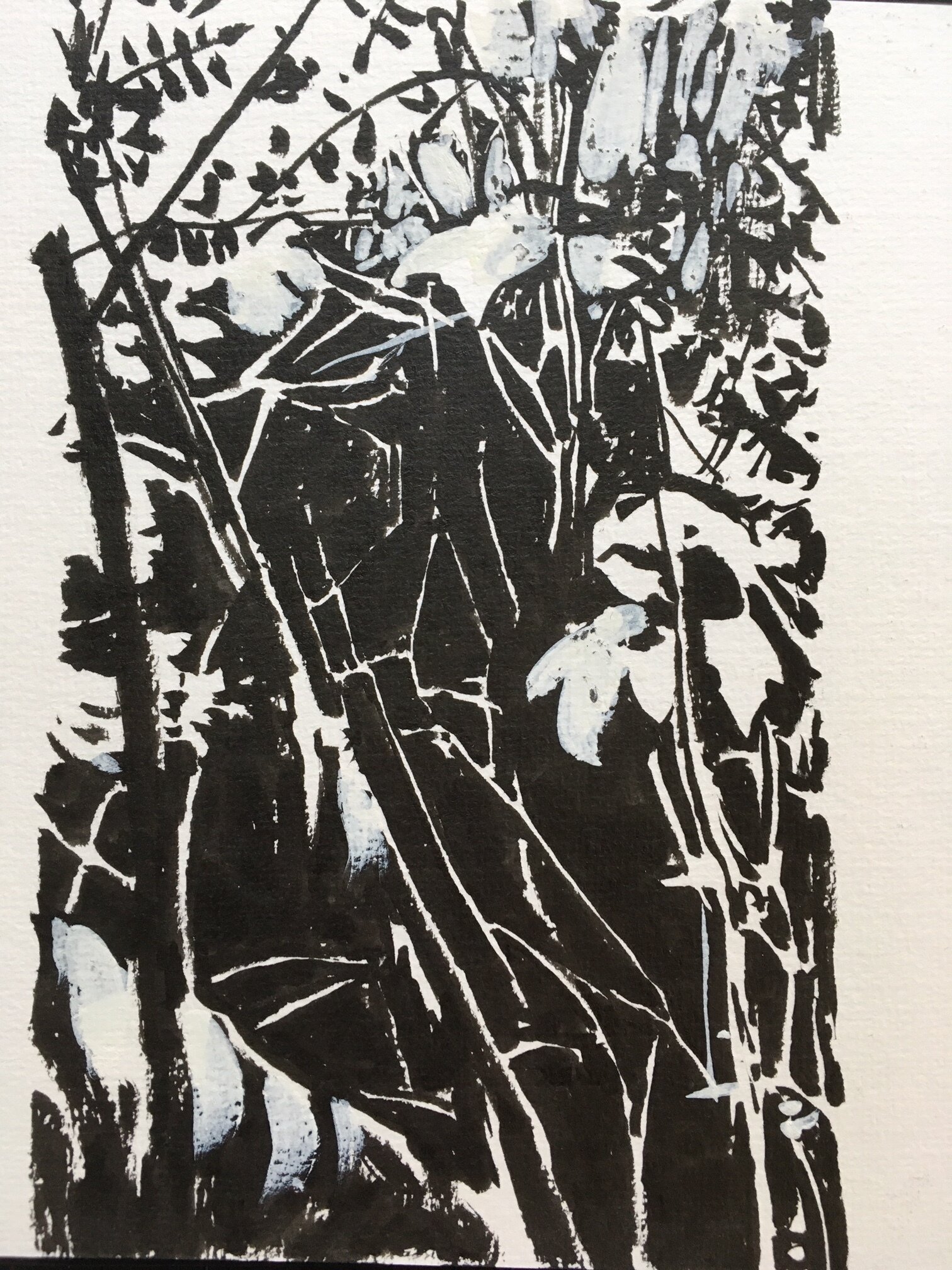 Anatomy of Notan Sketches — Stephen Berry Art