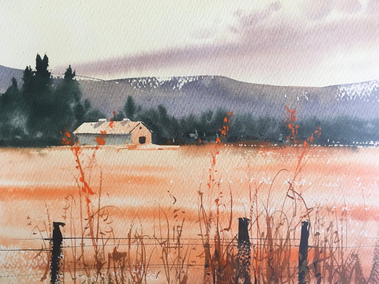 Video of Landscape Demo — Stephen Berry Art