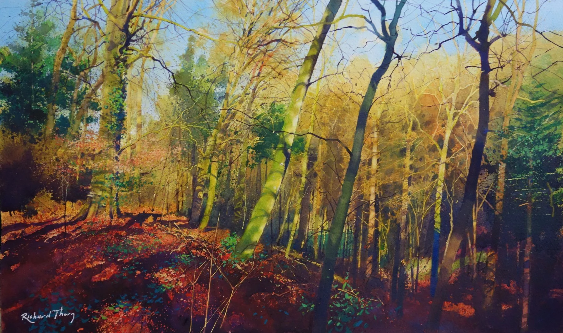 Spotlight on an Artist- Richard Thorn — Stephen Berry Art