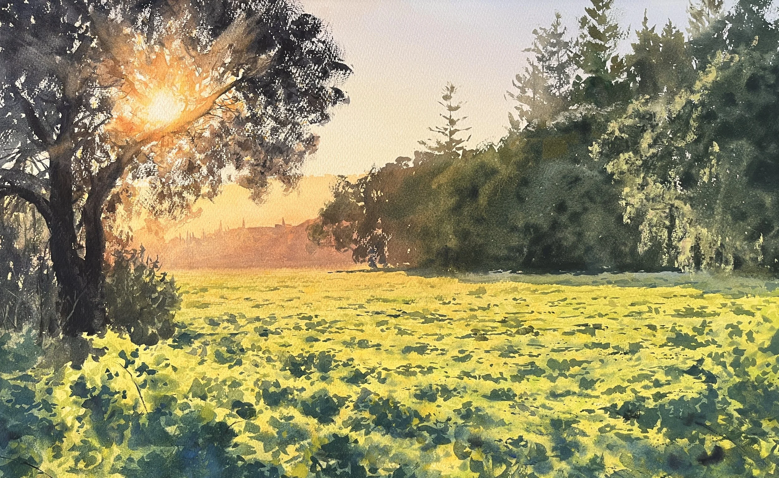 Windows 2023 Watercolor Collection — Stephen Berry Art