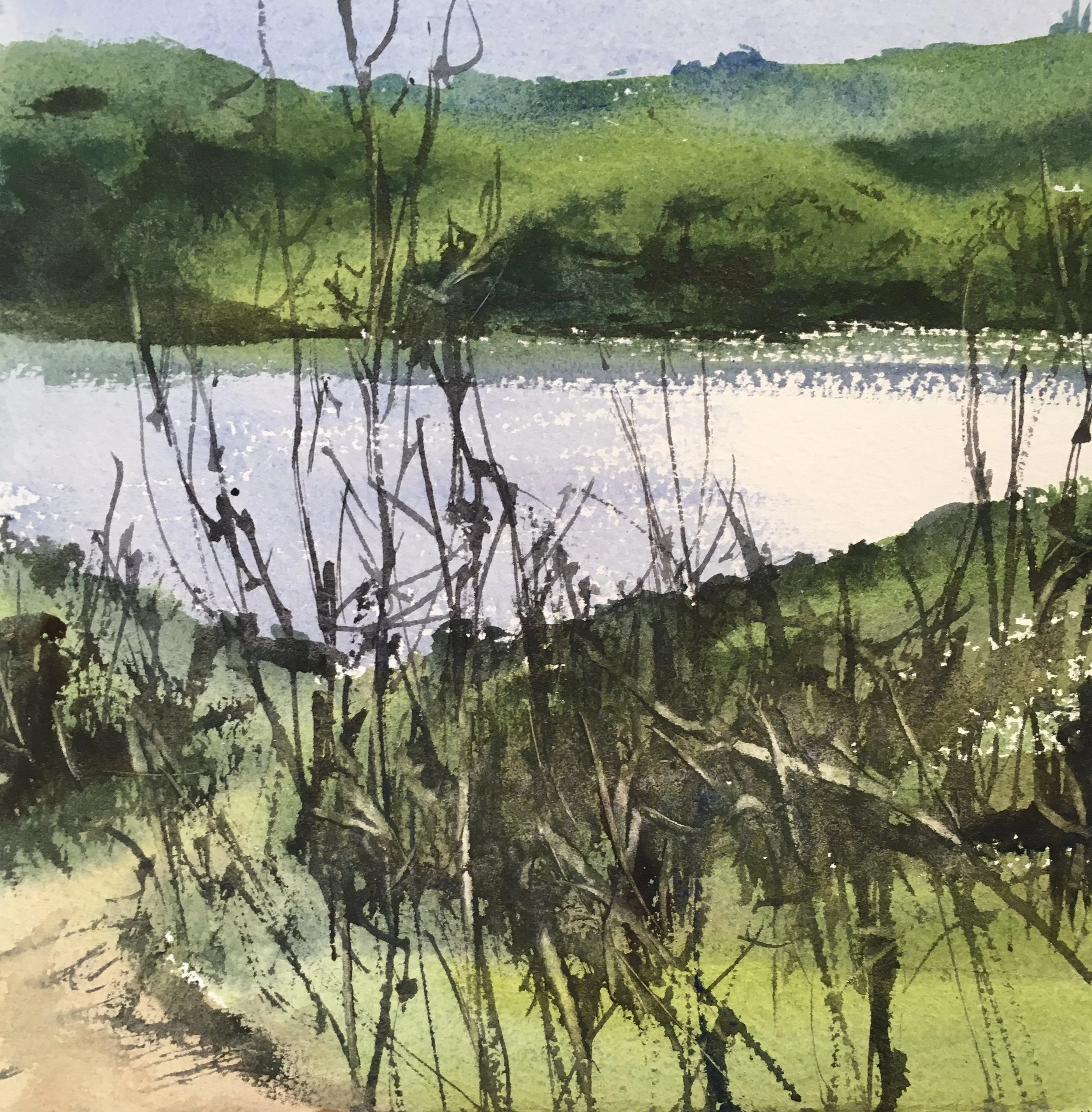 Daily Painting for a Month... and Longer! — Stephen Berry Art