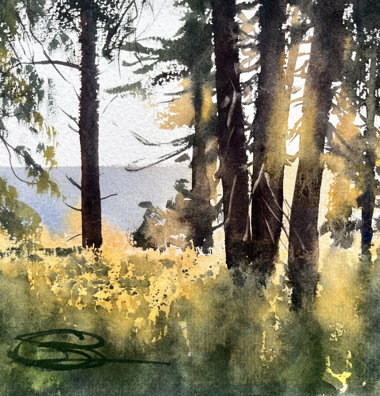 The Benefits of Iterating, from Notan to Repeated Painting — Stephen ...