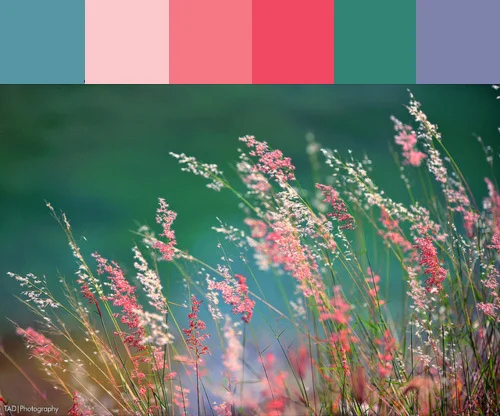 Color Stories. — Sarah Jane Studios