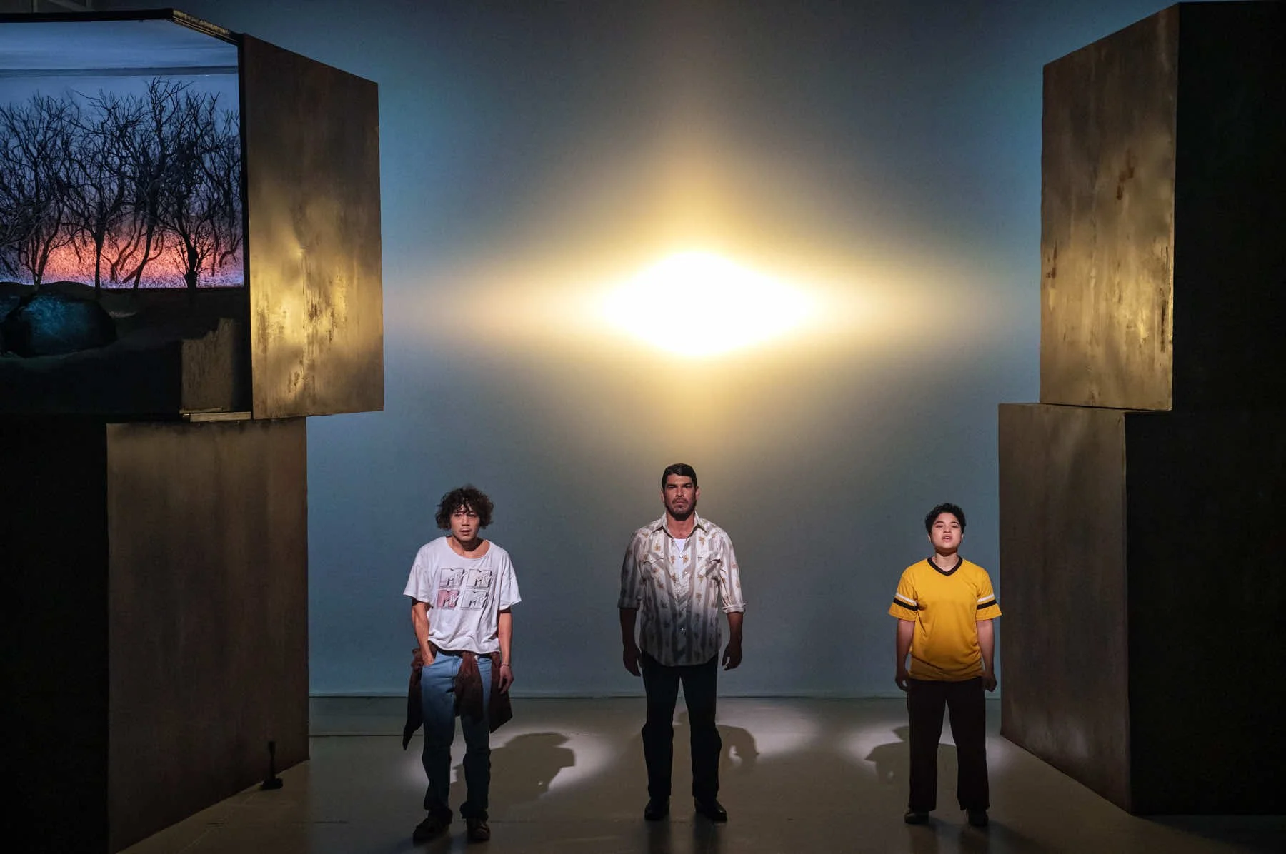 American (Tele)visions — Bretta Gerecke.