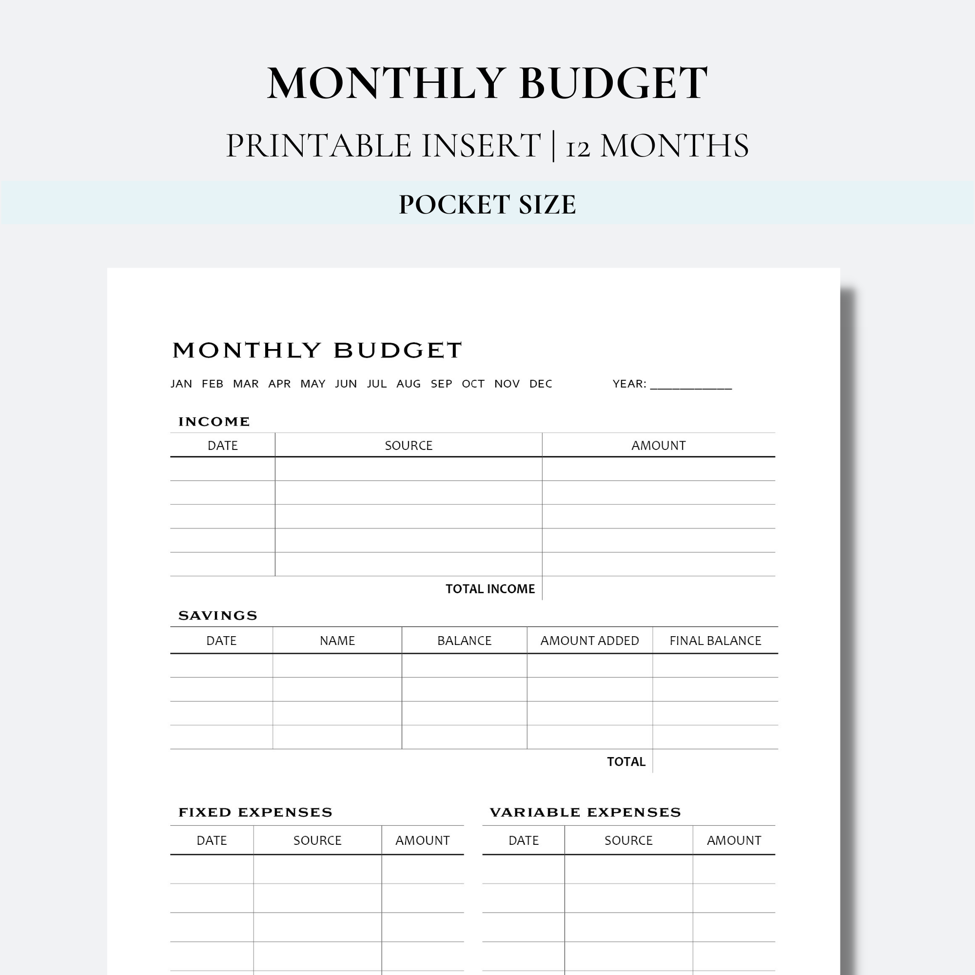 Monthly Budget - Pocket — Ninel Studio