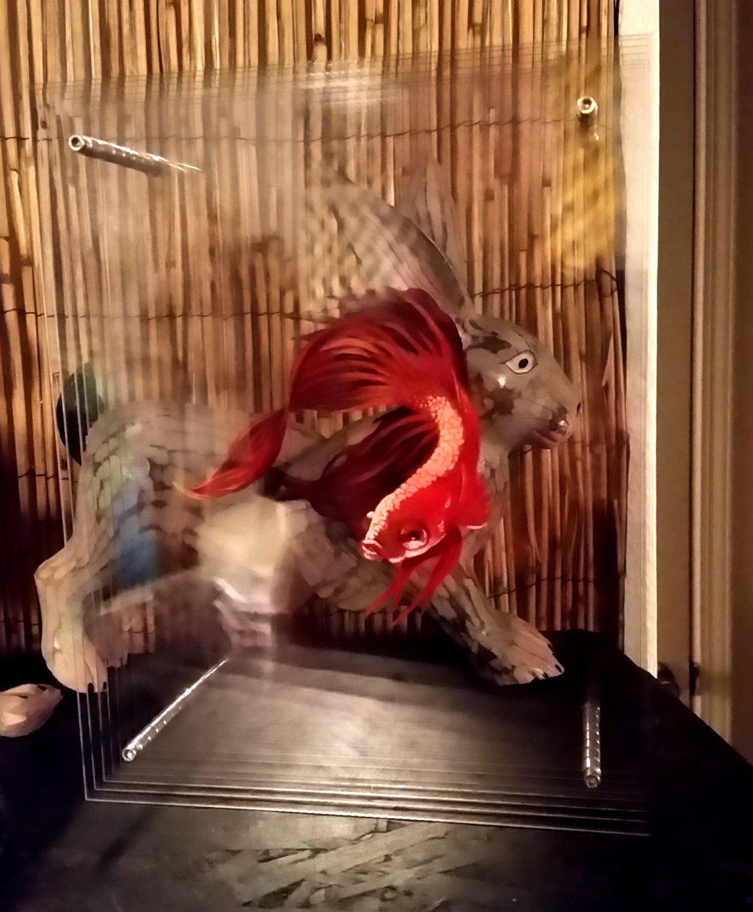 Betta Fish in Red - 8x10x3, acrylic on plexiglass — Steve Paulsen Studio