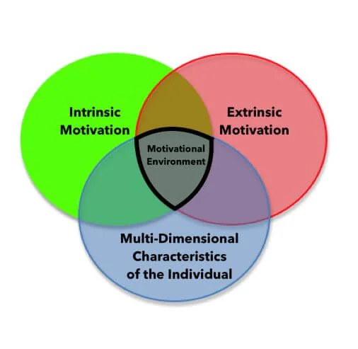 Incentives, Motivation And Engaging Members In Health Programs