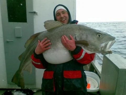 8 strand versus 4 strand braid - my take on it — Henry Gilbey