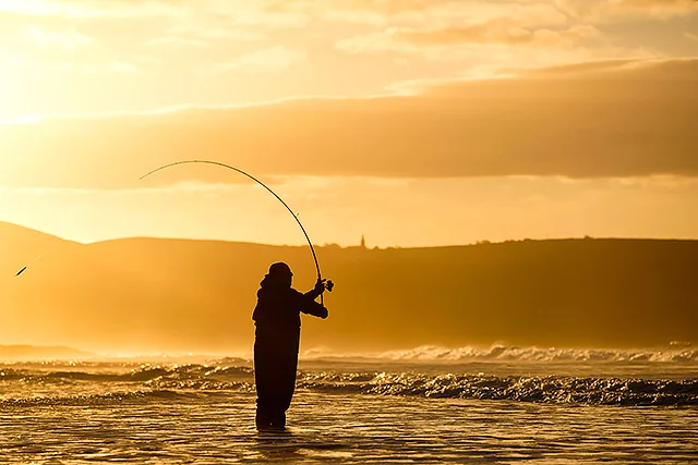 Lure rods - Tailwalk — Henry Gilbey