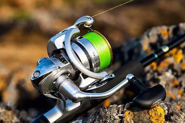 Spinning reels - Daiwa — Henry Gilbey