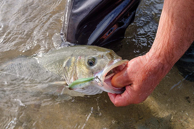 How on earth can you ever really prove whether one lure is really ...