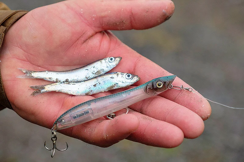 I think the original Xorus Patchinko is a fascinating lure that in some ...