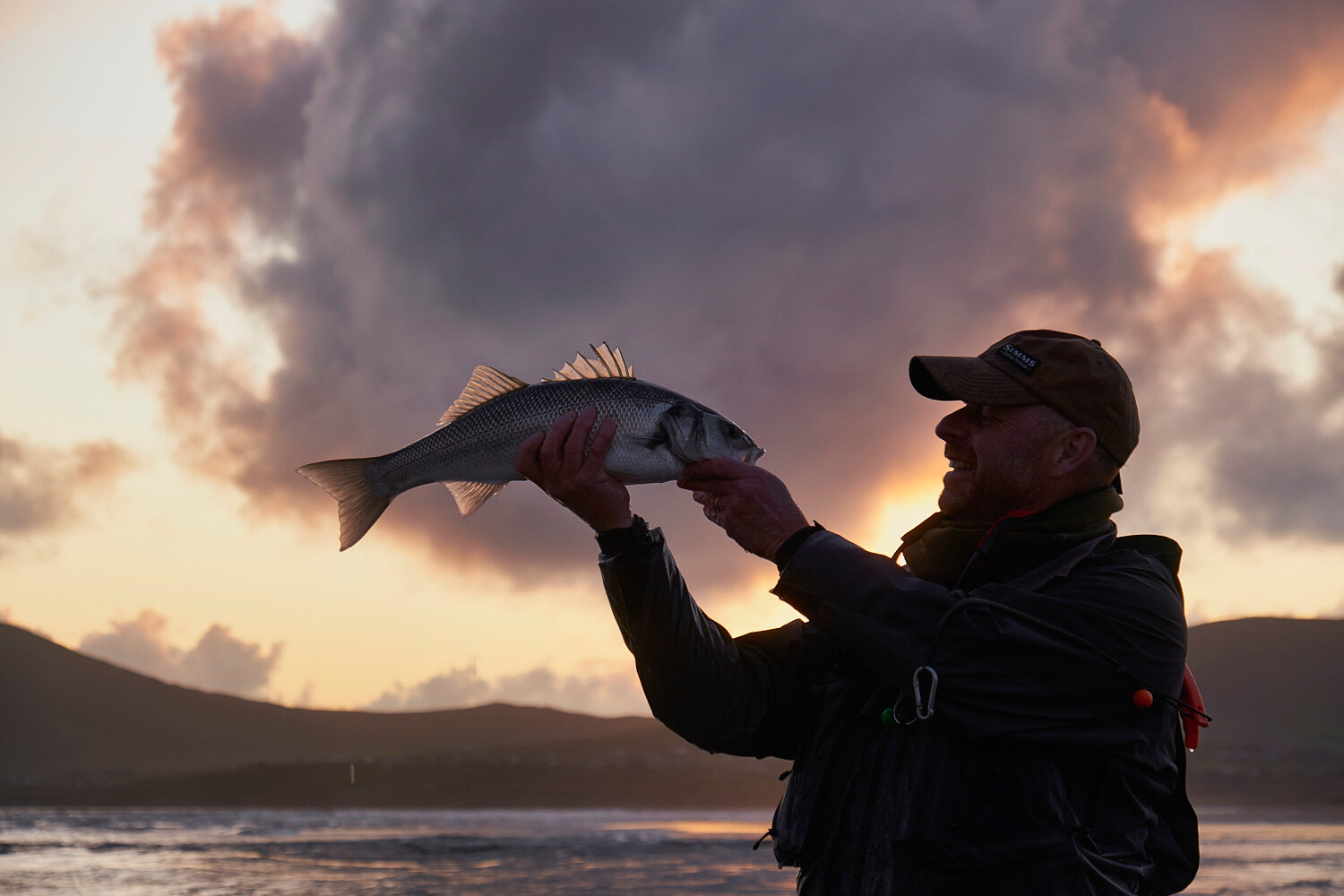 Guiding — Henry Gilbey